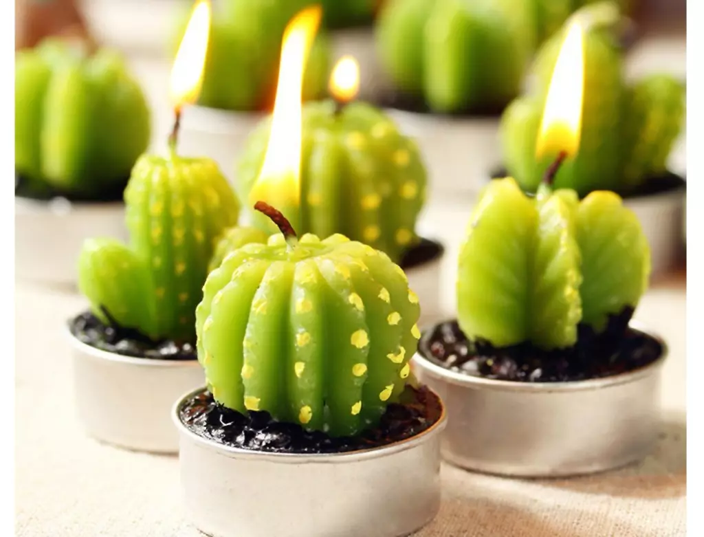 Deze Cactus-theelichtkaarsen voegen een aardse aantrekkingskracht toe aan uw huis of terras