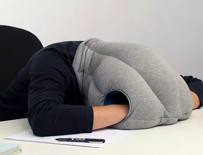 An Pillow Ostrich Bunaidh