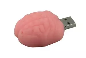 ტვინის USB ფლეშ დრაივი უნიკალური Amazon