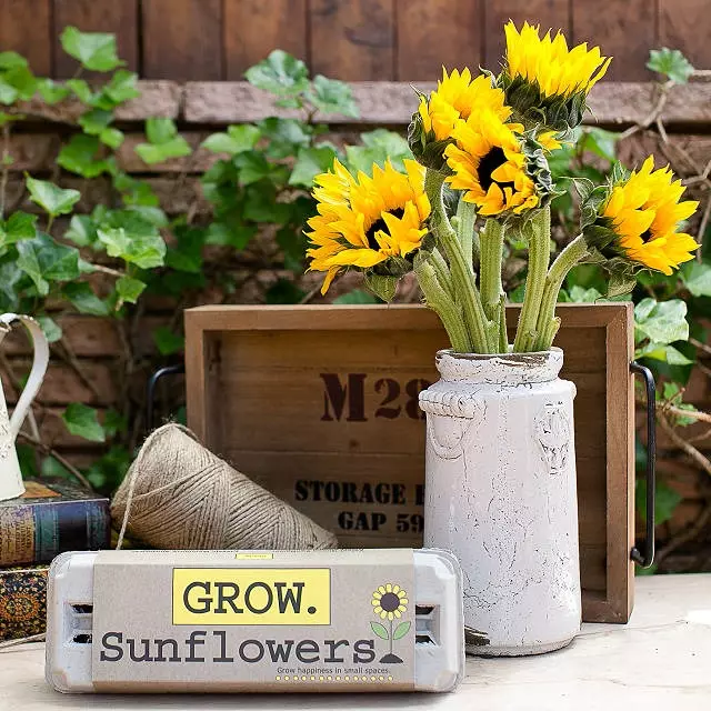 Sunflower Garden Grow Kit, gjafir fyrir mömmu
