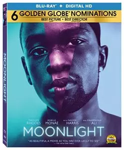 DVD film moonlight