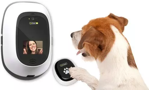 Digital Daycare para sa Home Alone Pet 15755_2