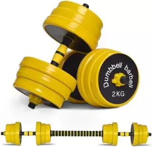 ọmarịcha c mgbanwe 2-in-1 dumbbell