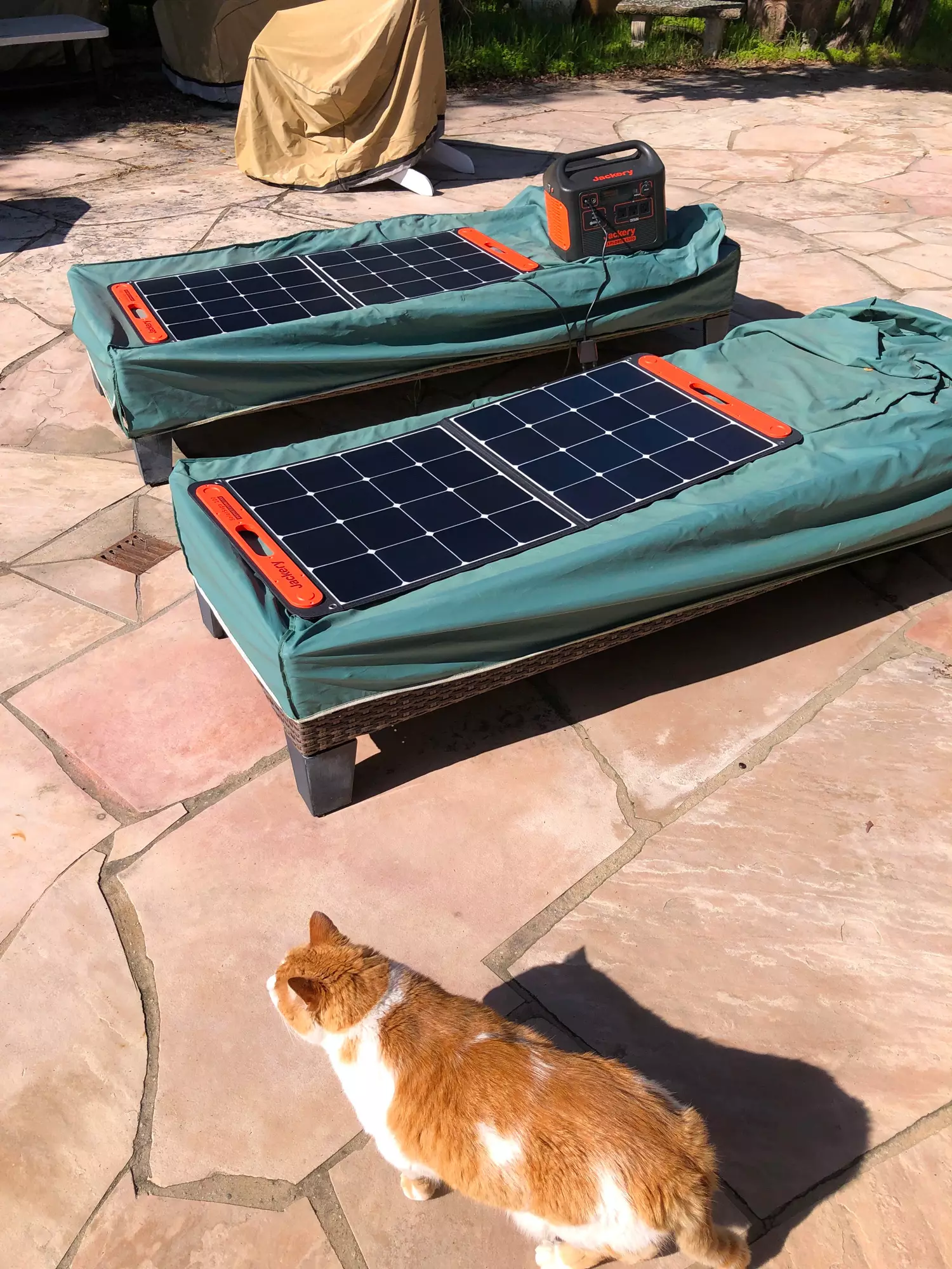 jackery explorer com painéis solares e gato malhado | Centrais elétricas portáteis
