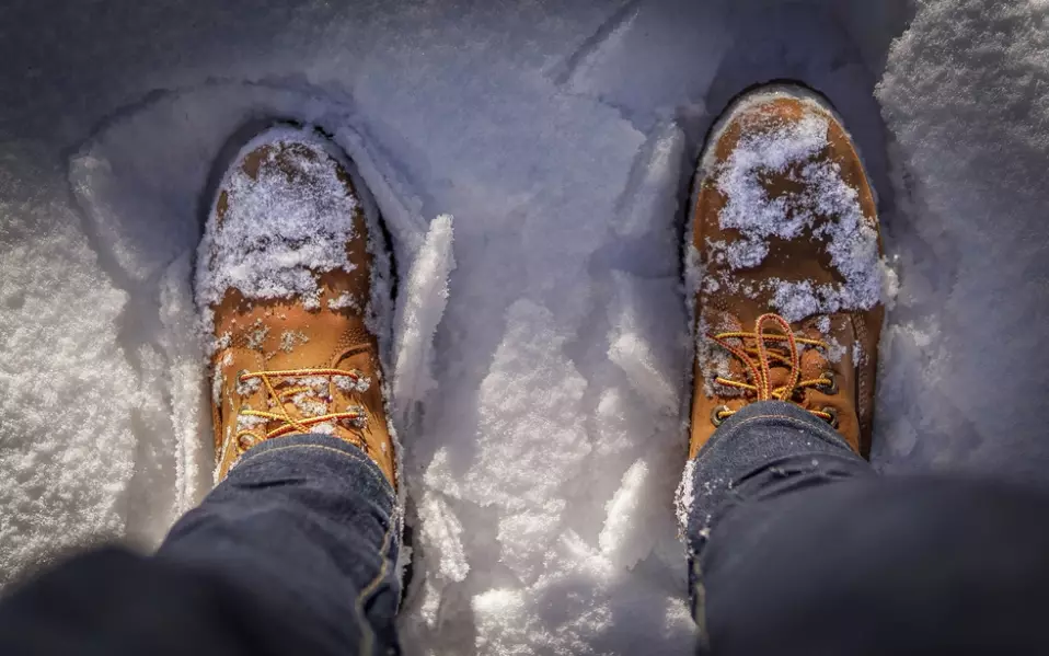 snežni škornji timberland