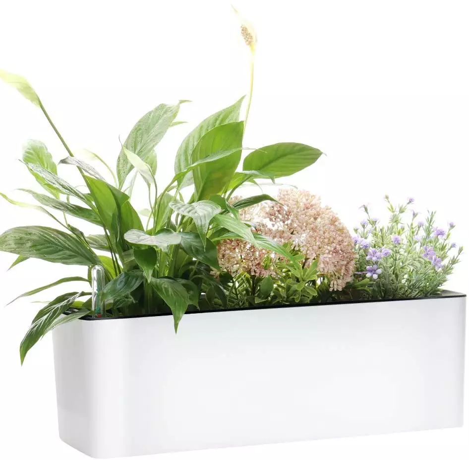 Επιμήκεις Αυτοποτισμένες γλάστρες Planter Pots Window Box της Garden Basix