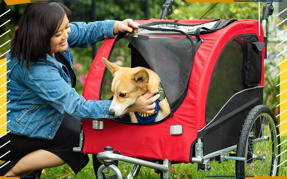 Best Choice Products 2-in-1 Pet Stroller