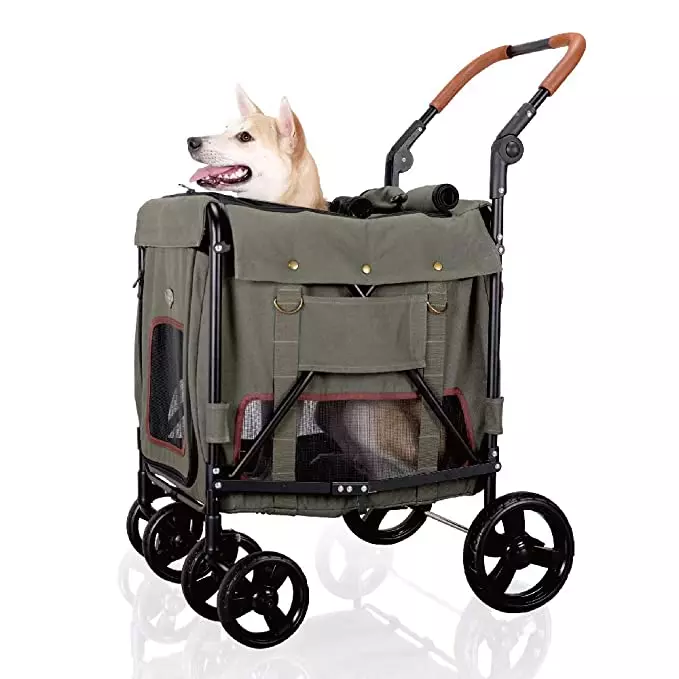 Green canvas dog stroller with dog