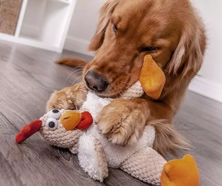 Geriausi kramtomieji žaislai šunims
