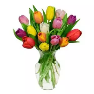 15 umukororombya tulips bouquet, serivisi zo gutanga indabyo