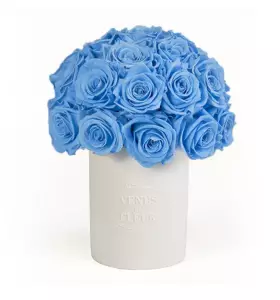 blumenversand online fleura vase venusetfleur