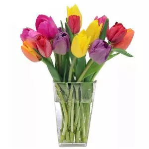 beste Online-Blumenlieferung - Stargazer Barn Confetti Bouquet - 15 Stängel bunter Tulpen mit Vase