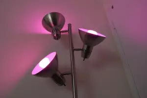 Luces inteligentes Philips Hue en lámpara