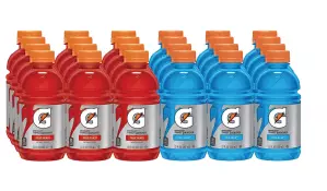 obat mabuk paling apik- Gatorade Thirst Quencher, Fruit Punch lan Cool Blue Variety Pack of 24