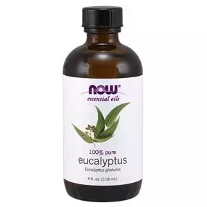 beste essentiële oliën pijnlijke spieren eucalyptus