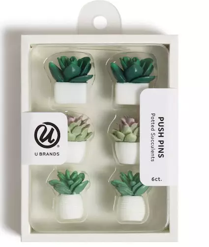 Potted Succulent Push Pins, mga cool na gamit sa opisina