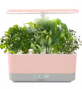 i-self-watering planter