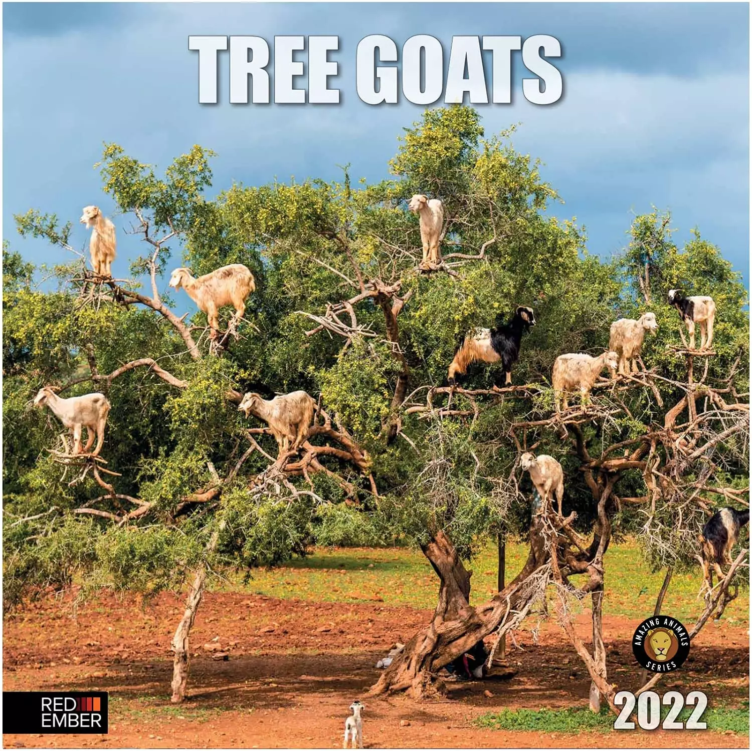 Tree Goats -kalenteri