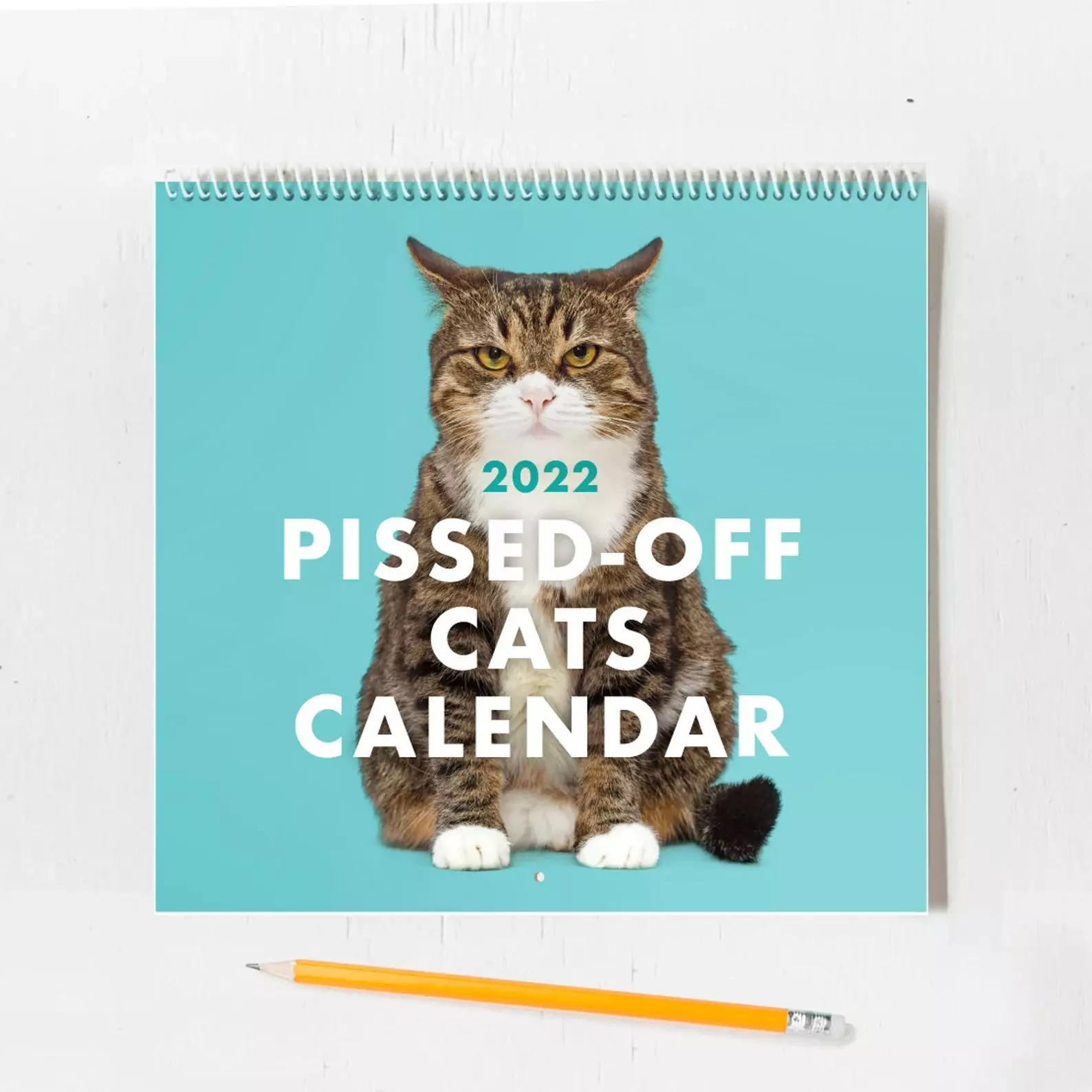 Pissed-off Cats Calendar
