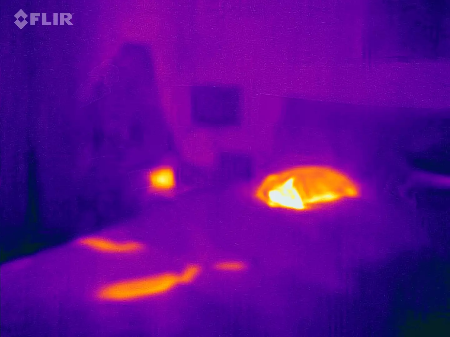 Flir Thermal Camera mampiseho toerana mangatsiaka sy mafana