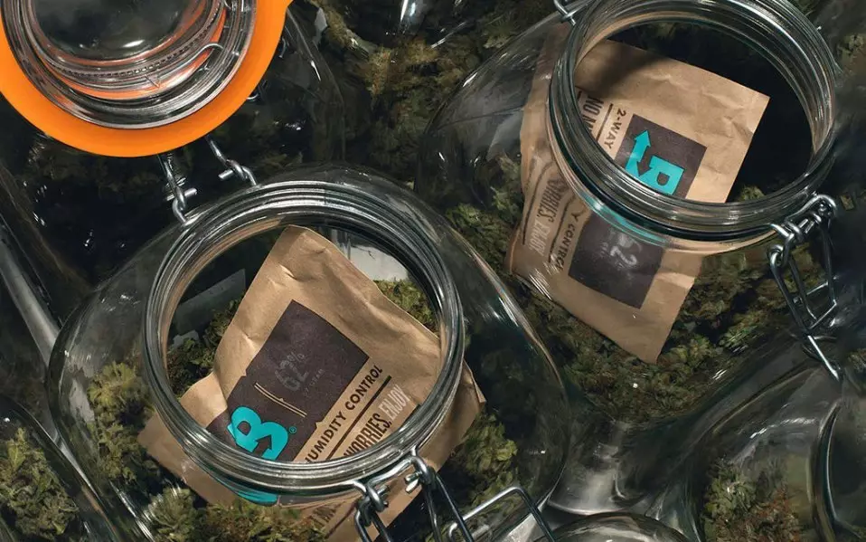 hvordan lagre cannabis-oppbevaring på riktig måte