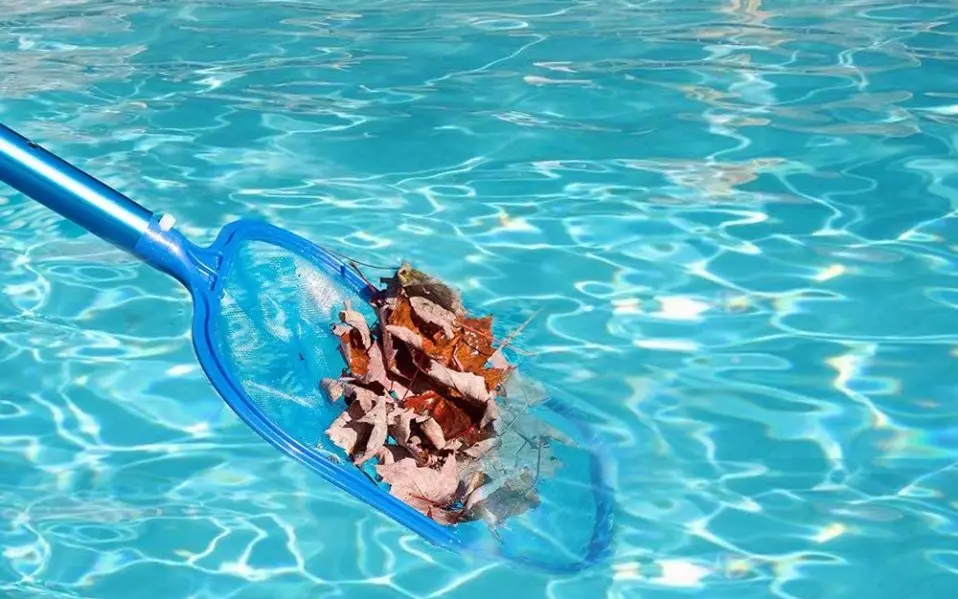 Pool Skimmer