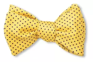 R. Hanauer สีเหลือง Halstead Polka Dots Bow