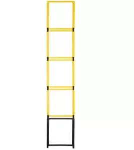 agility ladder