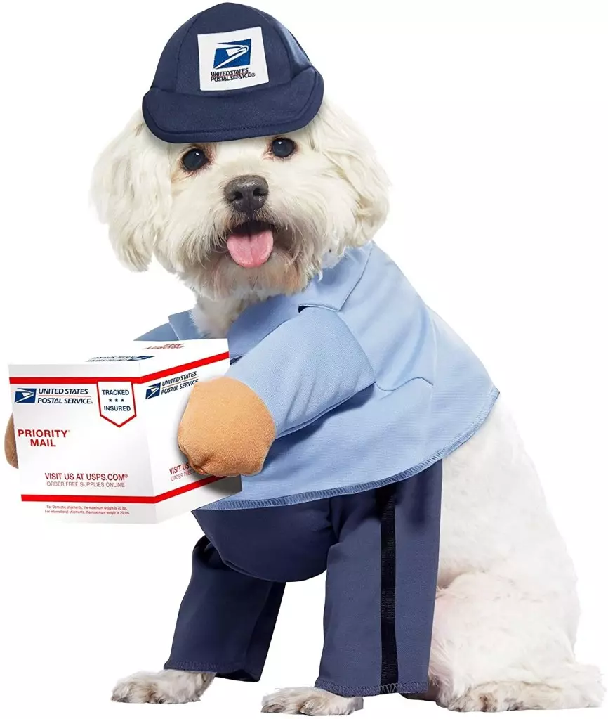 狗邮递员服装 USPS