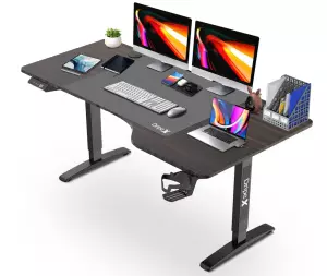 Dripex 62-Inch Electric Standing Desk