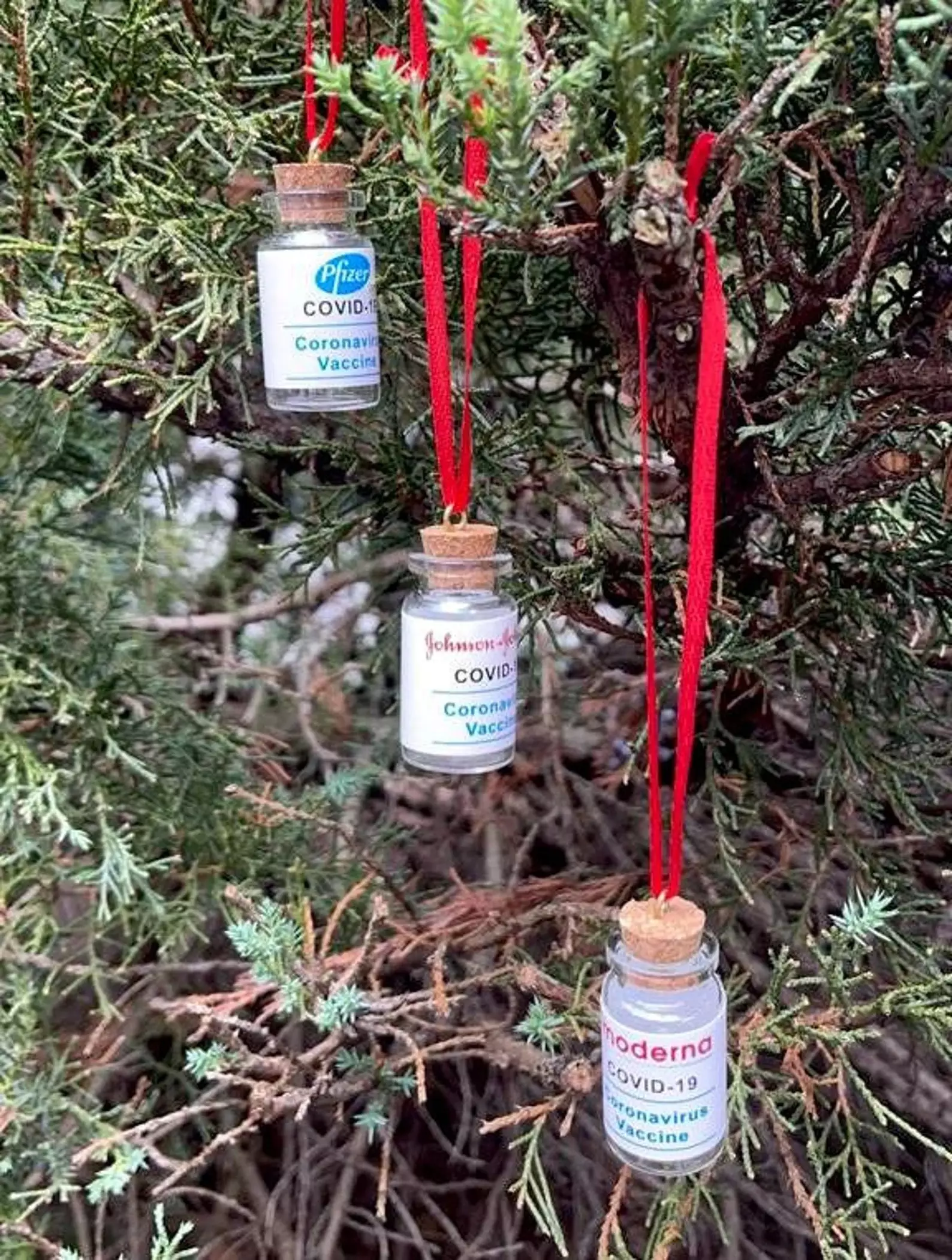 Covid Impfstoff Fläsch Ornamente