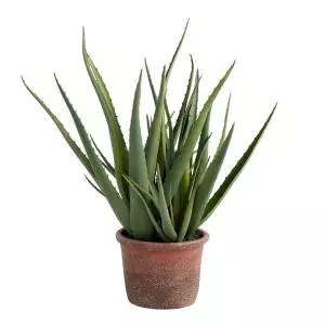 planhigion artiffisial sy'n edrych yn wirioneddol orau gwerthu planhigion faux aloe