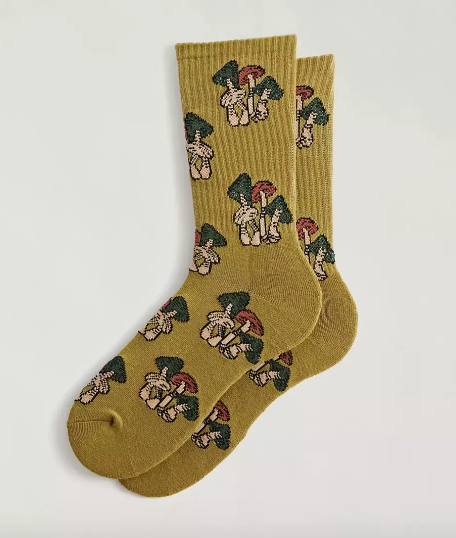 svampe sokker
