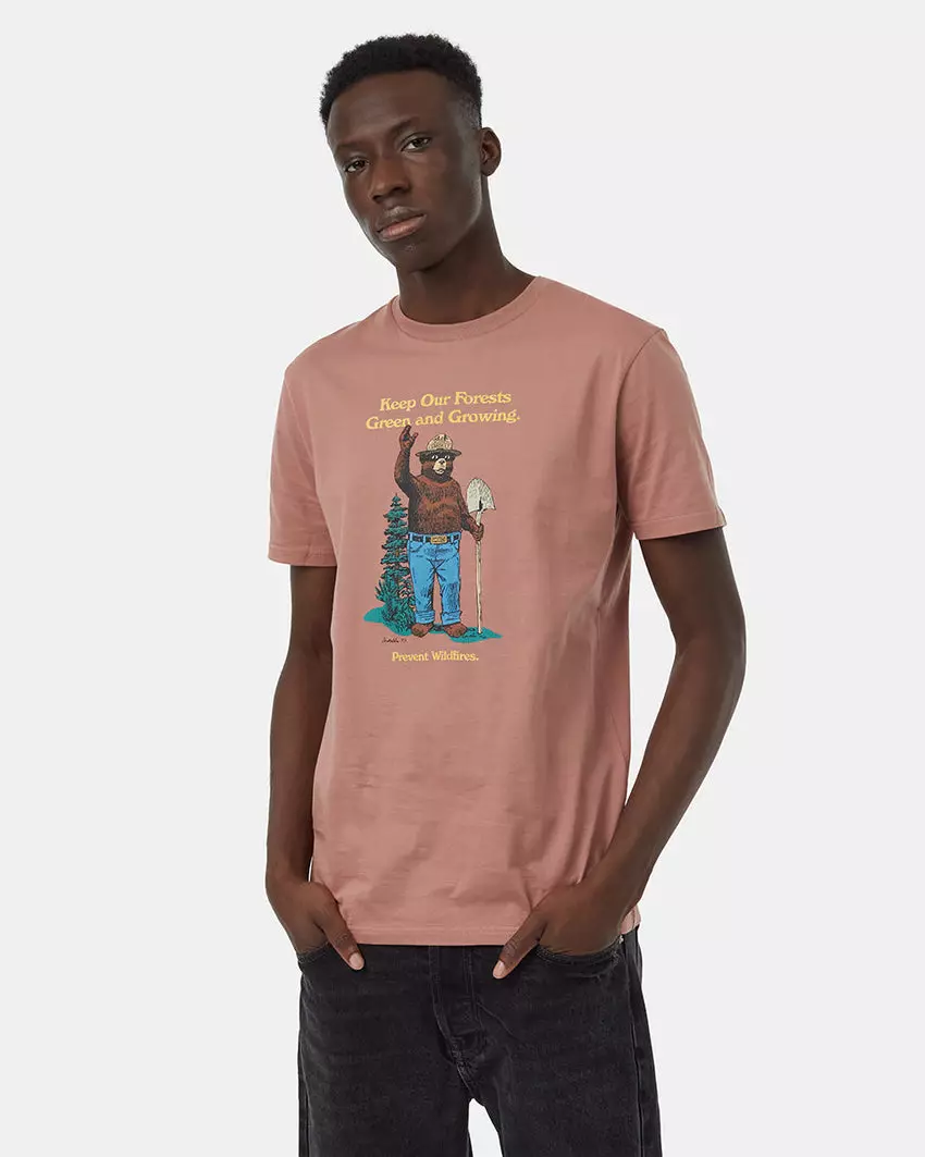 tentree Smokey Bear Lütfen Millet T-Shirt, Erkekler için Doğa T-Shirtleri