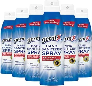 germ x hand sanitizer spray