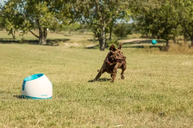 iFetch Interaktív Ball Launcher BGR