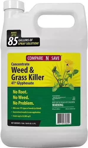 Compare-N-Save Koncentrat Weed & Grass Killer