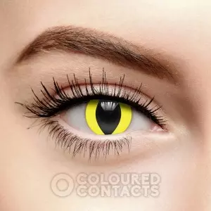 Mebala ea Mabitso Cat Eye Contact Lenses