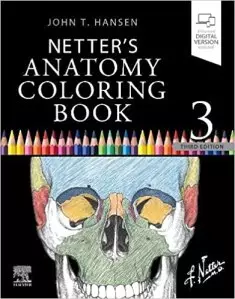 livro de colorir anatomia netters