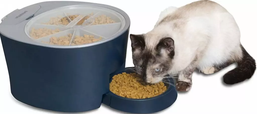 PetSafe 6-Mahlzeiten-Futterautomat für Hunde und Katzen