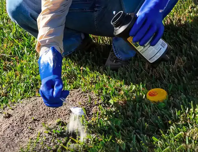 si të shpëtojmë nga milingonat