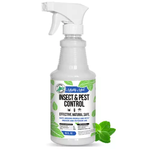 Mighty Mint Spray me vaj mente për kontrollin e insekteve dhe dëmtuesve