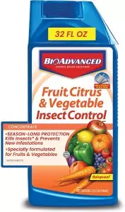 如何摆脱蚂蚁生物先进的水果柑橘昆虫控制