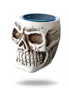 Alexa Cover Skull