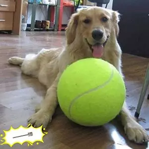 тенис топка за гигантско куче banfeng
