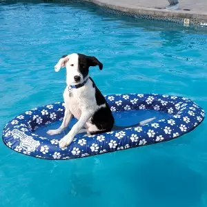 Flotteur de piscine pour chien SwimWays Paws, meilleurs flotteurs de piscine