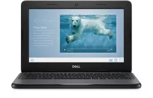 Dell Chromebook 3100 Bildungs-Laptop