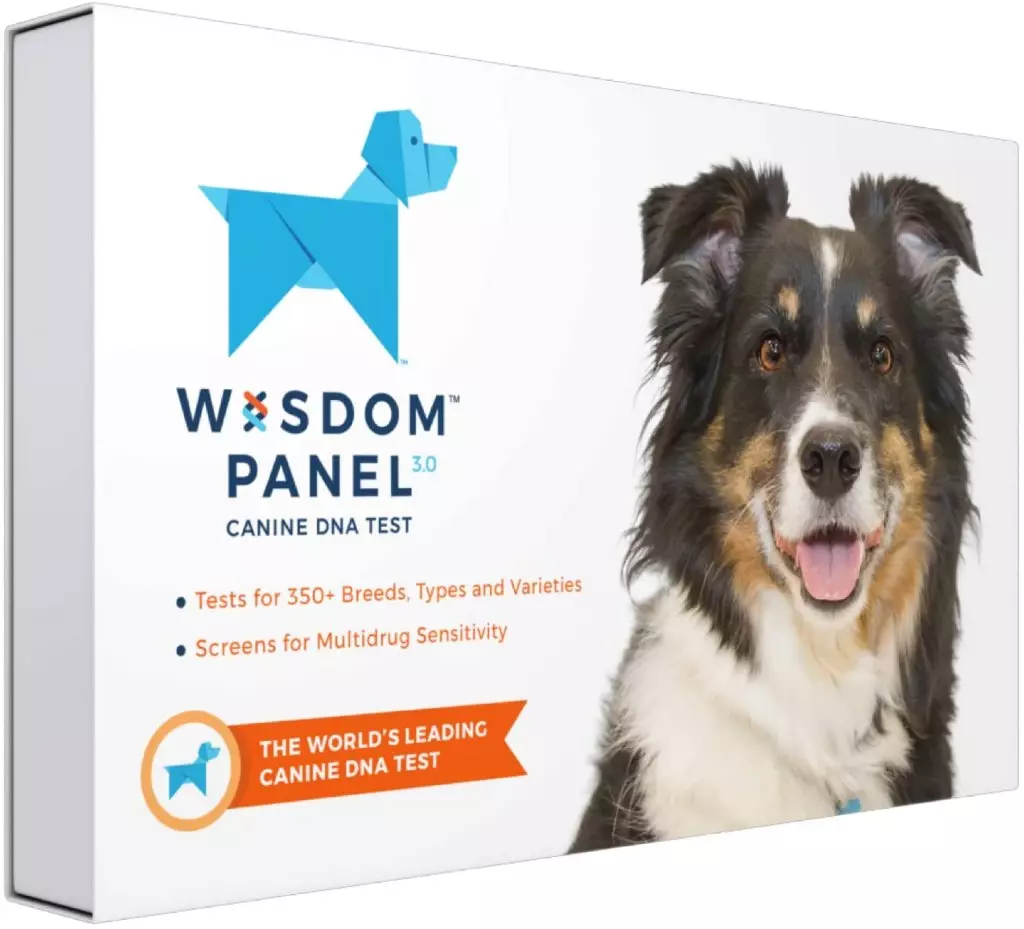 Wisdom Panel 3.0 犬の DNA テスト