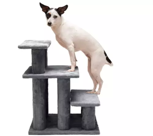 Furhaven Pet, geriausi šunų laiptai