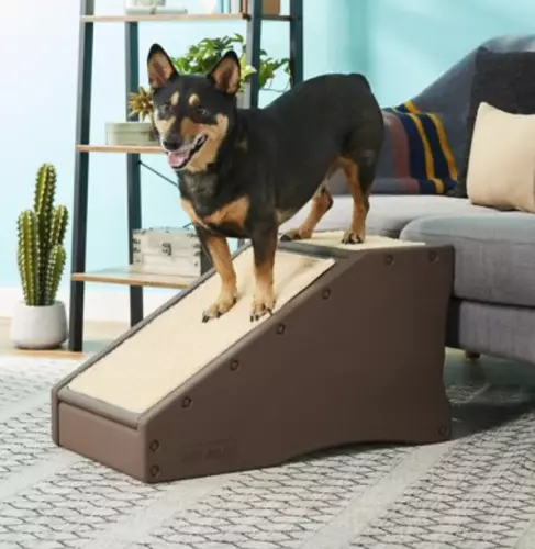Pet Gear Hund trappor och ramp